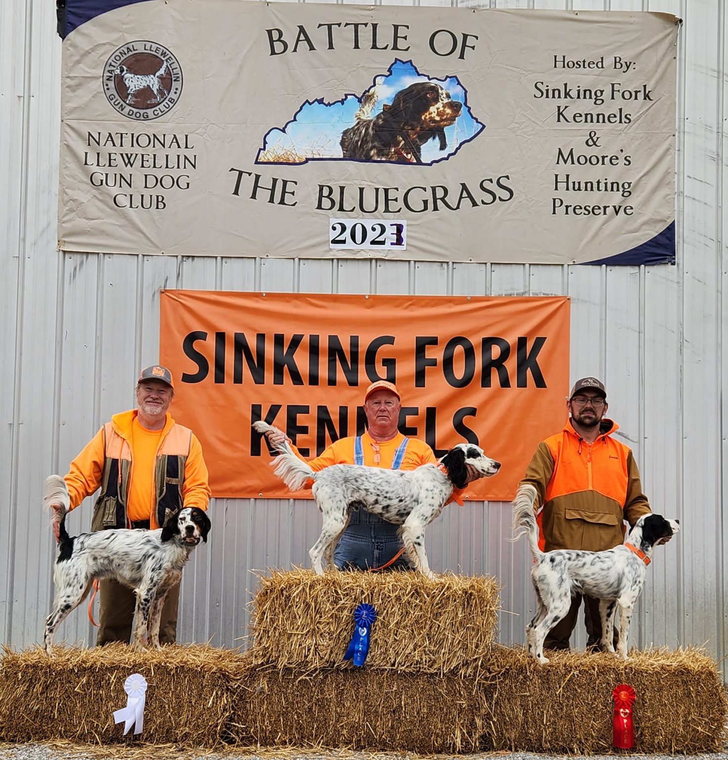 2023 Fall Kentucky Bluegrass Field Trial | National Llewellin Gun Dog Club